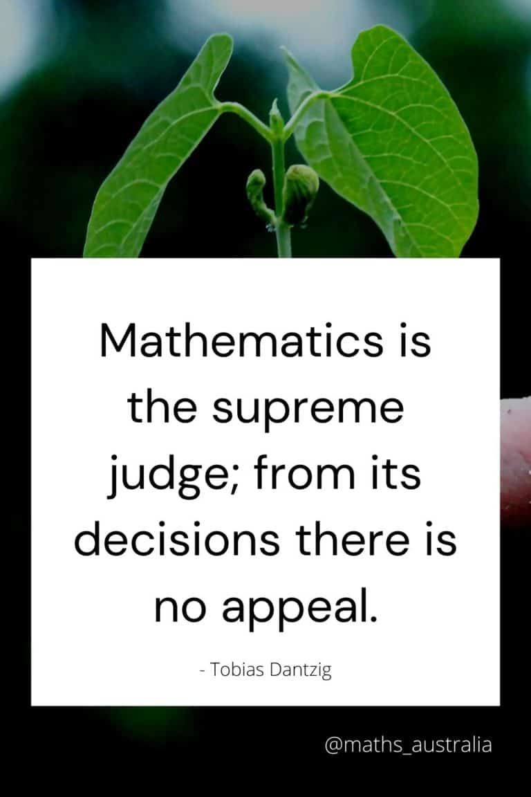 121 BEST Maths Quotes for Homeschoolers - Maths Australia